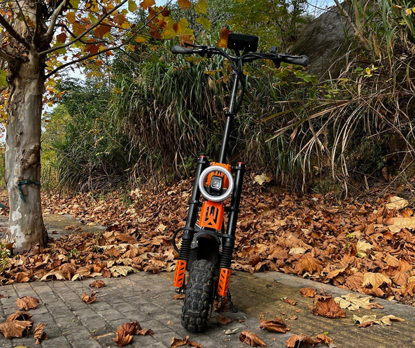 5 Ways to Buy Discounted Adult Electric Scooters in Canada – TopRiding